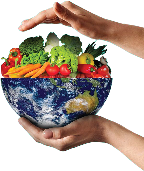 Food Inspection – ASPL